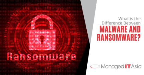 What is the Difference Between Malware and Ransomware?